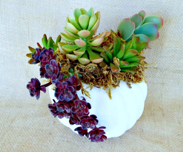 Faux Succulents To DIY For Home Decor - My Home and Travels