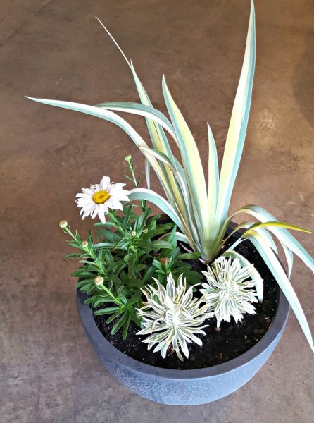 How To Use Colorful Containers Around Your Home