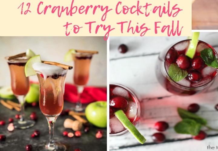 12 Cranberry Cocktails to Try this Fall - My Home and Travels