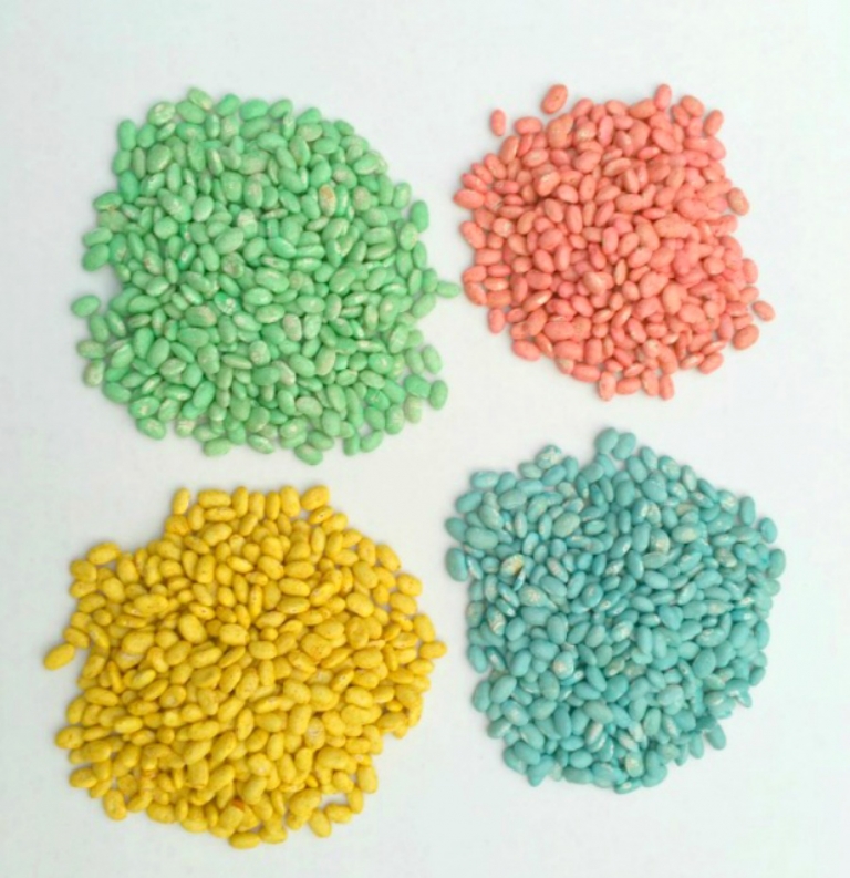 How To Dye Beans For Centerpieces and Decor - My Home and Travels