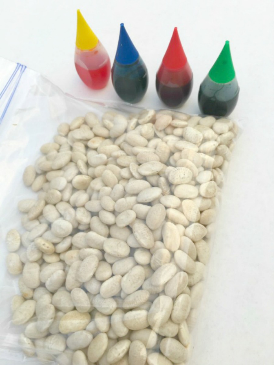 How To Dye Beans For Centerpieces and Decor - My Home and Travels