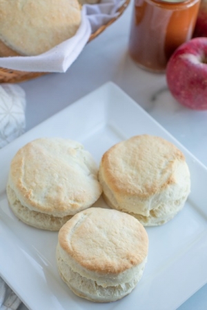 Fast and Easy 2 Ingredient Biscuits - My Home and Travels