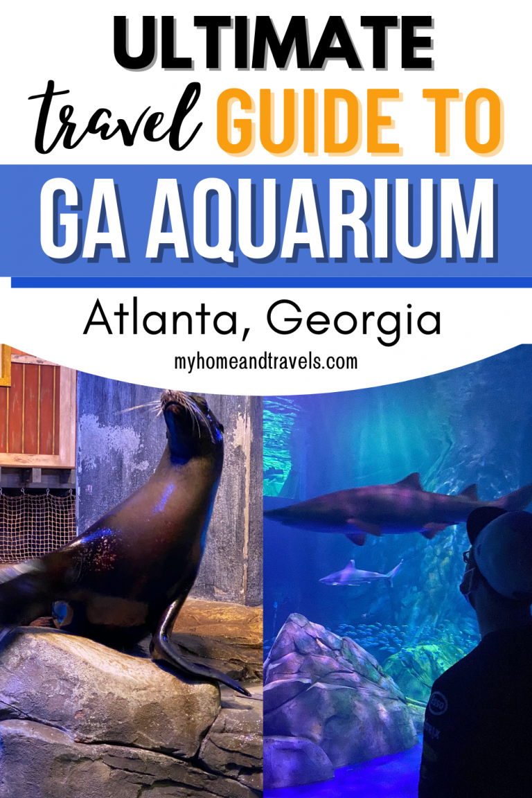 Explore the Sea at the Georgia Aquarium - My Home and Travels