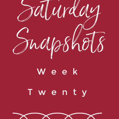 Saturday Snapshots Week Eight - My Home and Travels