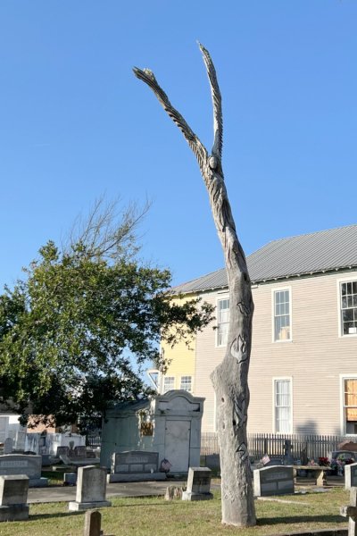 Angel Trees of Bay St Louis - A Story of Survival and Hope - My Home ...