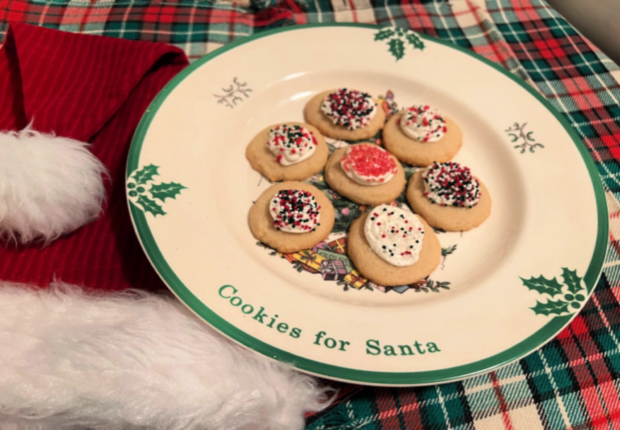Angel Trees of Bay St Louis - A Story of Survival and Hope - My Home ...