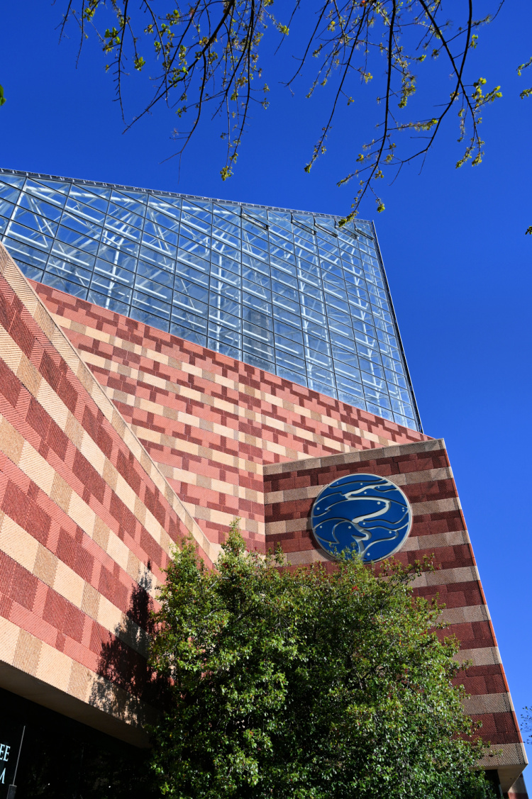 Visiting the Tennessee Aquarium and IMAX in Chattanooga - My Home and ...