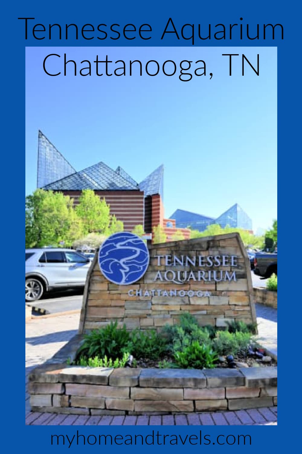 Visiting the Tennessee Aquarium and IMAX in Chattanooga - My Home and ...