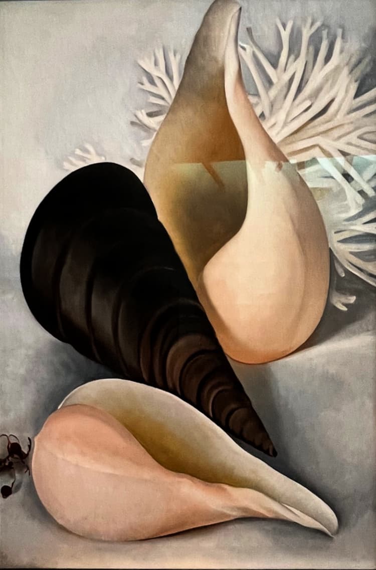 Georgia O'Keeffe Museum in Santa Fe - Her Life and Art - My Home and ...