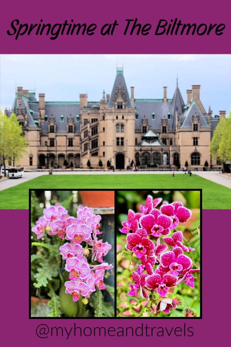 Biltmore in the Spring - Color in All Forms - My Home and Travels