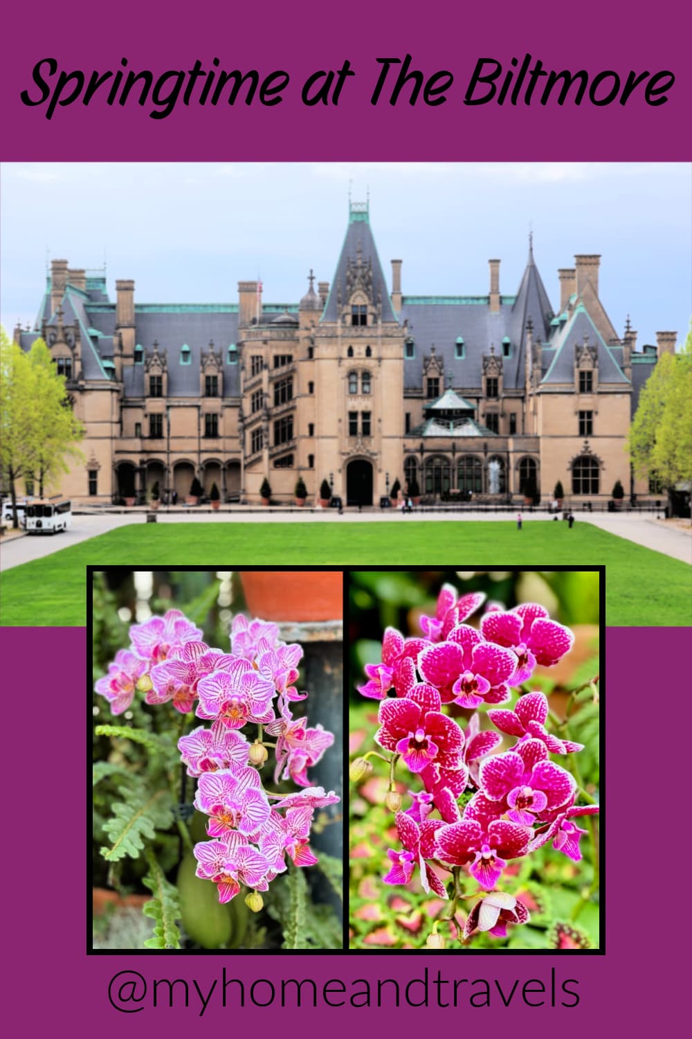 Biltmore in the Spring - Color in All Forms - My Home and Travels